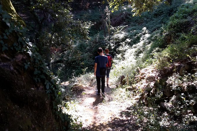 Corfu Countryside Hiking Tour - Inclusions and Group Size