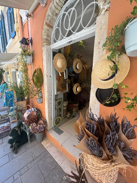 Corfu: Dog Sightseeing Tour - Key Points