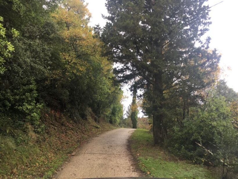 Corfu: Full Day Small-Group Trip with Lunch - Transportation and Group Size: Comfort and Connection