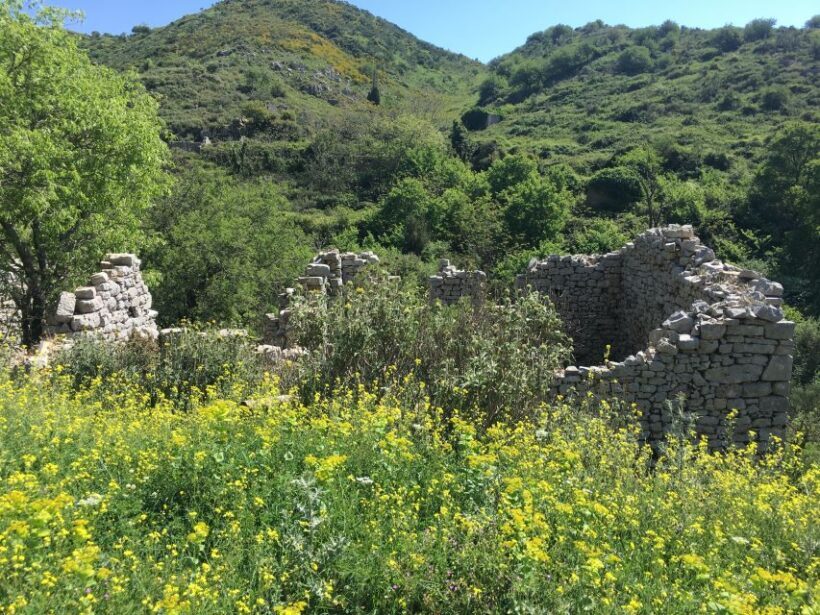 Corfu: Northwest Coast and Village Charms 4x4 Tour - An In-Depth Look at the Itinerary