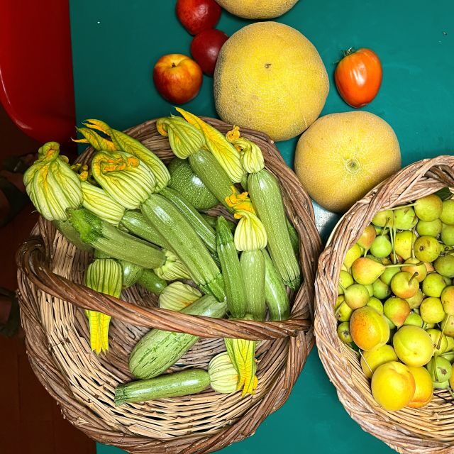 Corfu: Organic Olive Oil Farm Tour with Transfer and Tasting - Introduction
