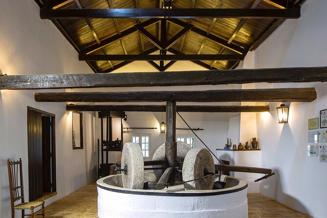 Corfu Organic Olive Oil Tasting at Family Farm - The Sum Up: Is It Worth It?
