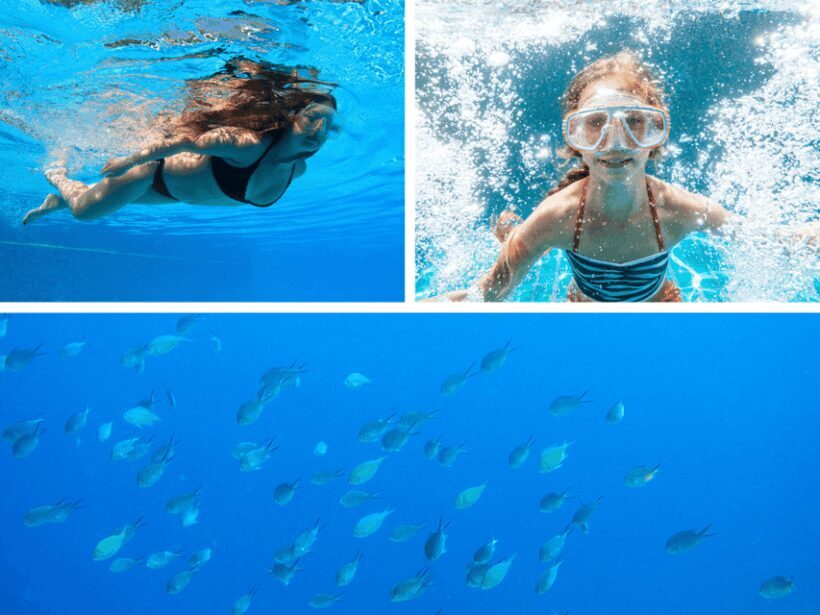 Corfu: Paxos Island Full-Day Cruise with Blue Caves - Is It Good Value?
