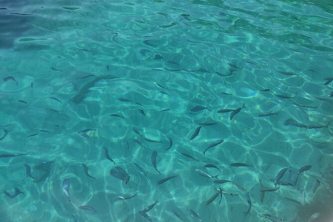 Corfu Private Boat Tour - What Makes This Tour Stand Out?