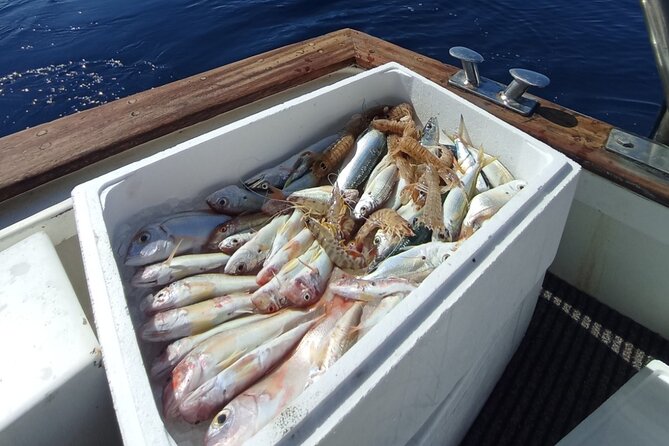 Corfu Private Fishing Cruises - Accessibility and Additional Information