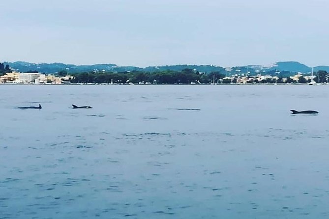 Corfu Private Yacht Cruise - Frequently Asked Questions (FAQs)