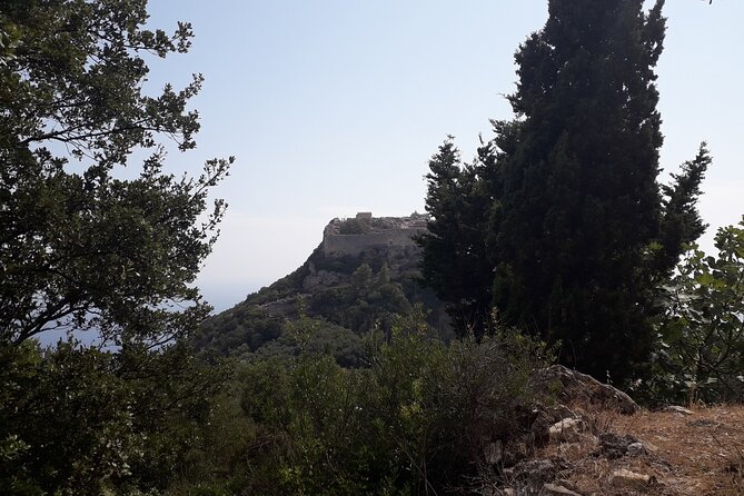 Corfu Sightseeing Tour, Small Group Tour by Minivan - Pricing and Booking Information