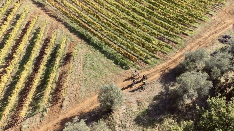 Cori: E-MTBike Experience Among the Vineyards - Key Points
