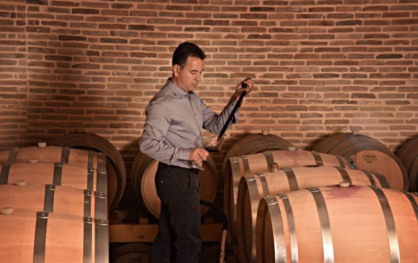 Corinth: Winery Tour and Organic Fine Wine Tastings - Final Thoughts: Is It Worth It?