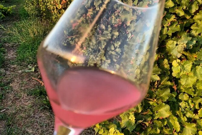 Corinth Winery Tour and Organic Fine Wine Tastings - Review Highlights: Authentic and Engaging