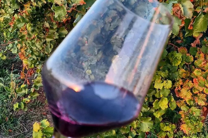 Corinth Winery Tour and Organic Fine Wine Tastings - Practical Tips for Visitors