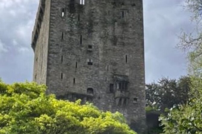 Cork City to Blarney Castle Private Tour in Modern AC Minibus - Highlights of Blarney Castle