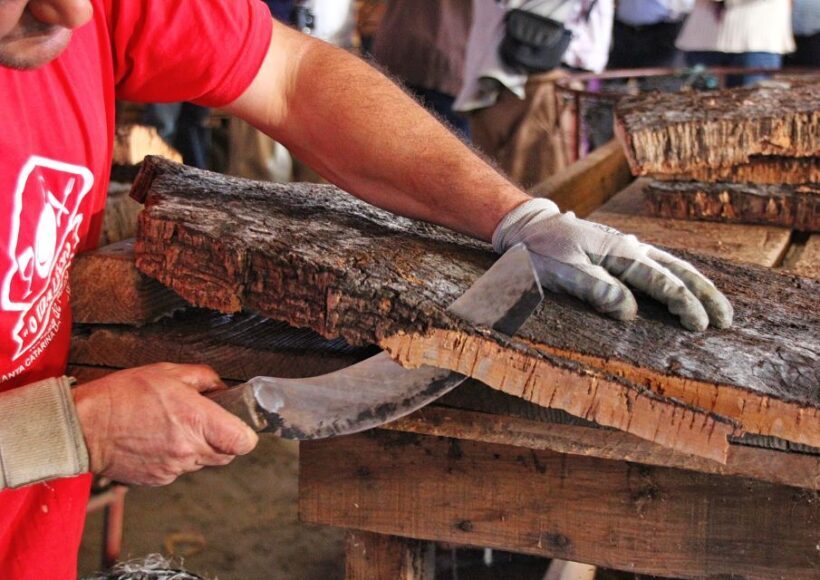 Cork Factory Tour - An In-Depth Look at the Cork Factory Tour