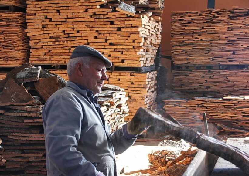 Cork Factory Tour - Final Thoughts: Is It Worth It?