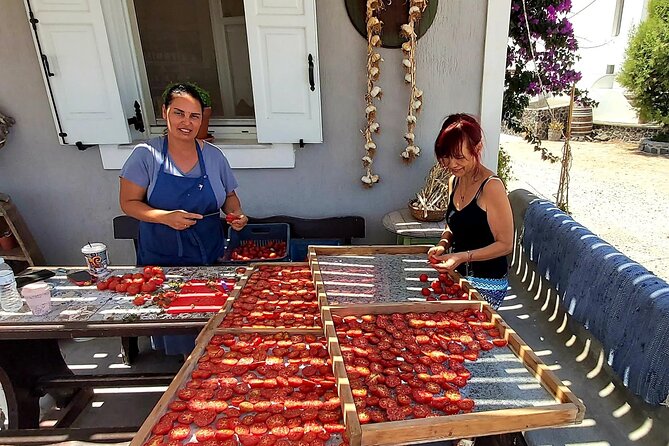 Cork & Fork Tour in Santorini with 2 Wineries and Lunch - The Value of This Tour