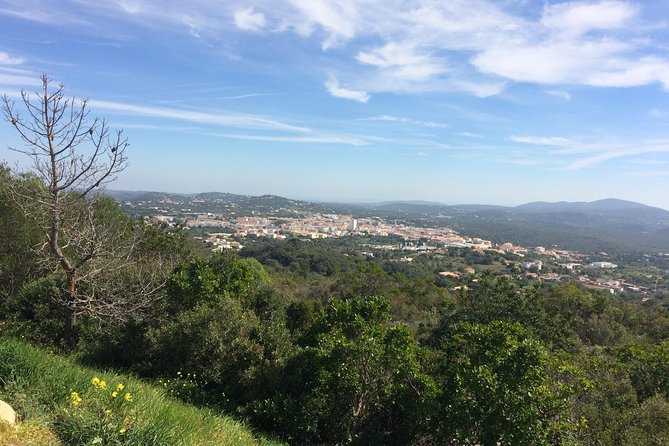 Cork Secrets - Discover the Hidden Side of the Algarve: Cork Secrets Tour