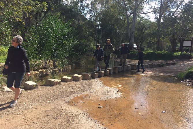 Cork Secrets - The Sum Up