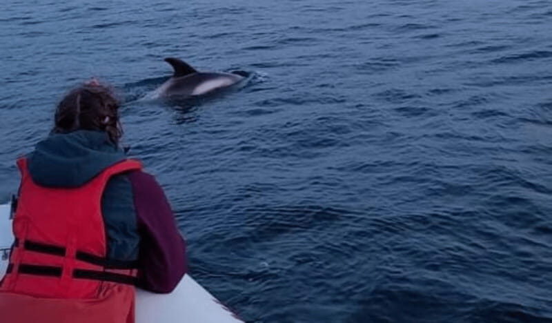 Corner Brook: Woods Island Adventure 3-Hour Zodiac Tour - What We Like About the Woods Island Zodiac Tour