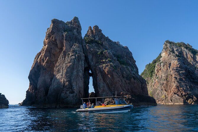Coromandel Adventure and Wildlife Boat Tour to Aldermen Islands - Who Will Love This Tour?