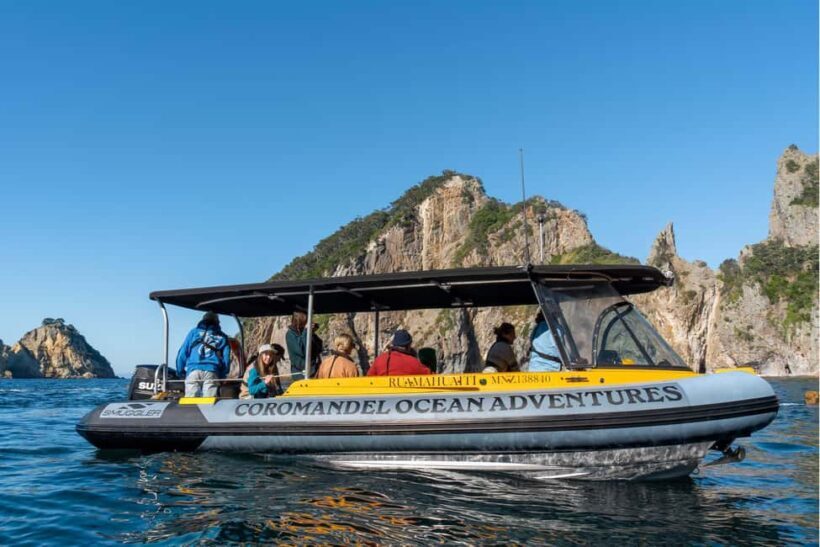 Coromandel: Aldermen Islands Marine Reserve Wildlife Cruise - The Experience of a Lifetime: Wildlife and Marine Encounters