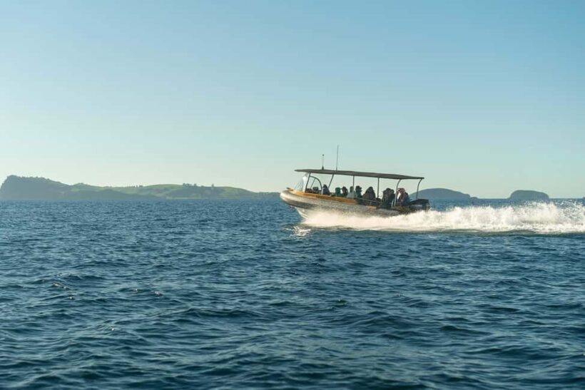 Coromandel: Aldermen Islands Marine Reserve Wildlife Cruise - Practical Details and What’s Included