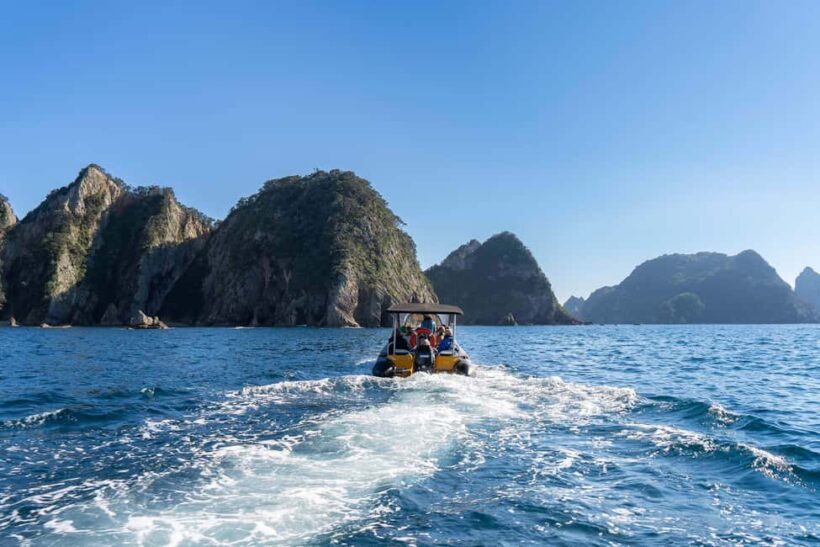 Coromandel: Aldermen Islands Marine Reserve Wildlife Cruise - Authenticity and Local Flavor