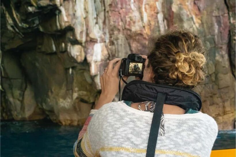 Coromandel: Aldermen Islands Marine Reserve Wildlife Cruise - Summary: Who Should Consider This Tour?