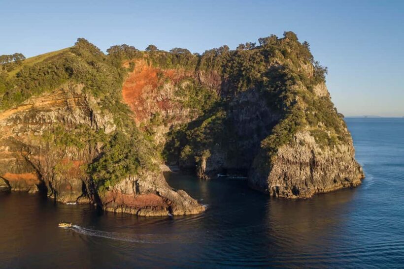 Coromandel: Aldermen Islands Marine Reserve Wildlife Cruise - FAQ