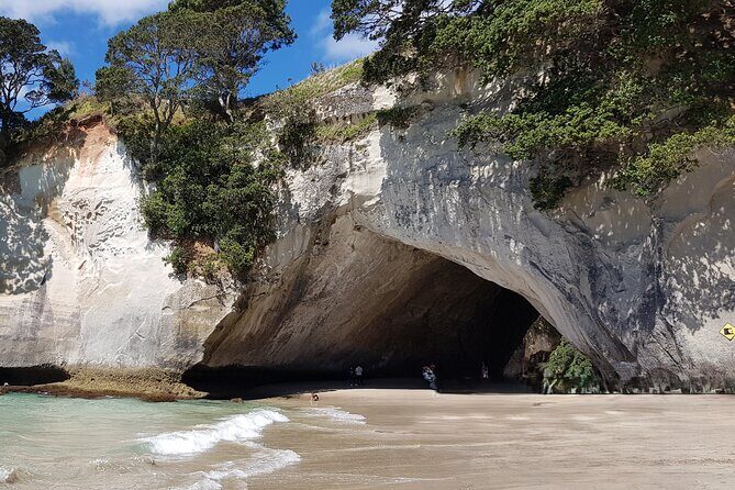 Coromandel Cathedral Cove Walk & Hot Water Beach Day Tour - The Full Day in the Coromandel: What to Expect