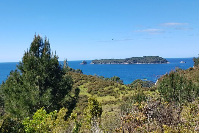 Coromandel Cathedral Cove Walk & Hot Water Beach Day Tour - Analyzing the Price and Value