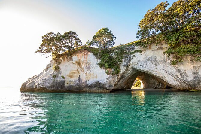 Coromandel Cathedral Cove Walk & Hot Water Beach Day Tour - Who Would Love This Tour?