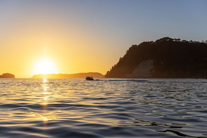 Coromandel Cathedral Cove Walk & Hot Water Beach Day Tour - The Sum Up: Is This the Right Choice for You?