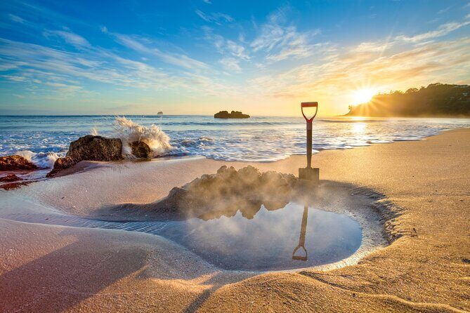 Coromandel Cathedral Tour Cove and Hot Water Beach from Auckland - A Day in the Life: What to Expect