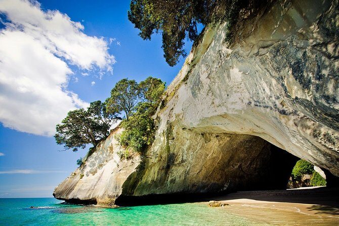 Coromandel Coastal Experience - Small Group Tour from Auckland - Details of the Itinerary