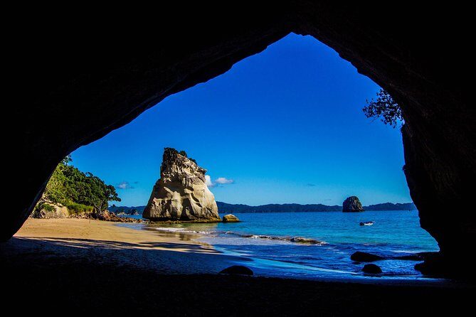 Coromandel Coastal Experience - Small Group Tour from Auckland - Cost and Value