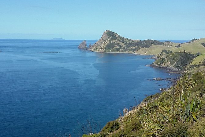 Coromandel Coastal Experience - Small Group Tour from Auckland - Who This Tour Is For