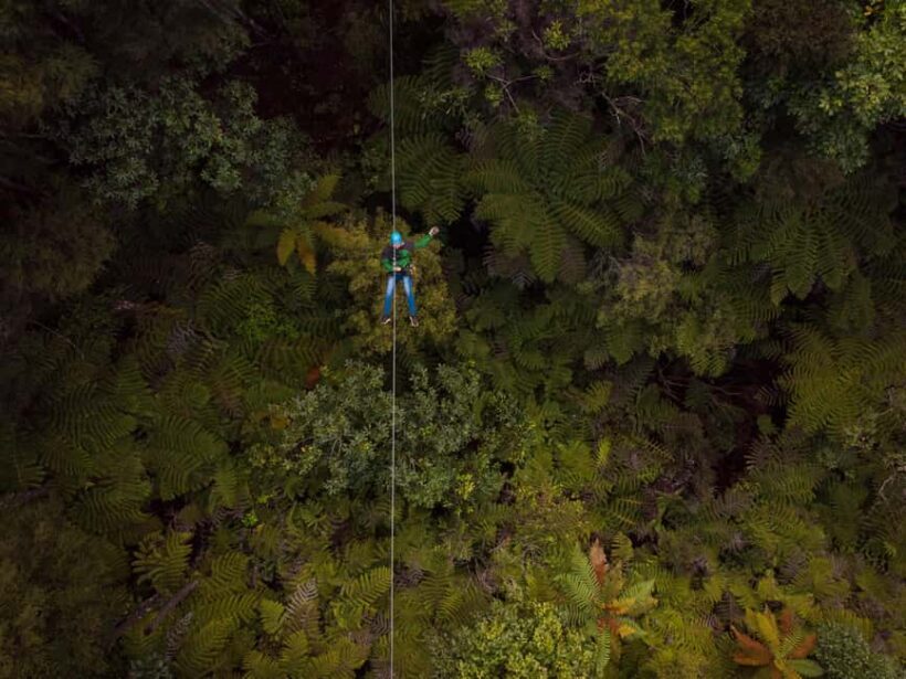 Coromandel: Guided Zipline Tour Experience - An Overview of the Coromandel Zipline Experience