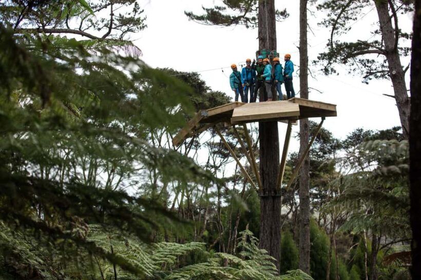 Coromandel: Guided Zipline Tour Experience - The Scenic Journey to the Start