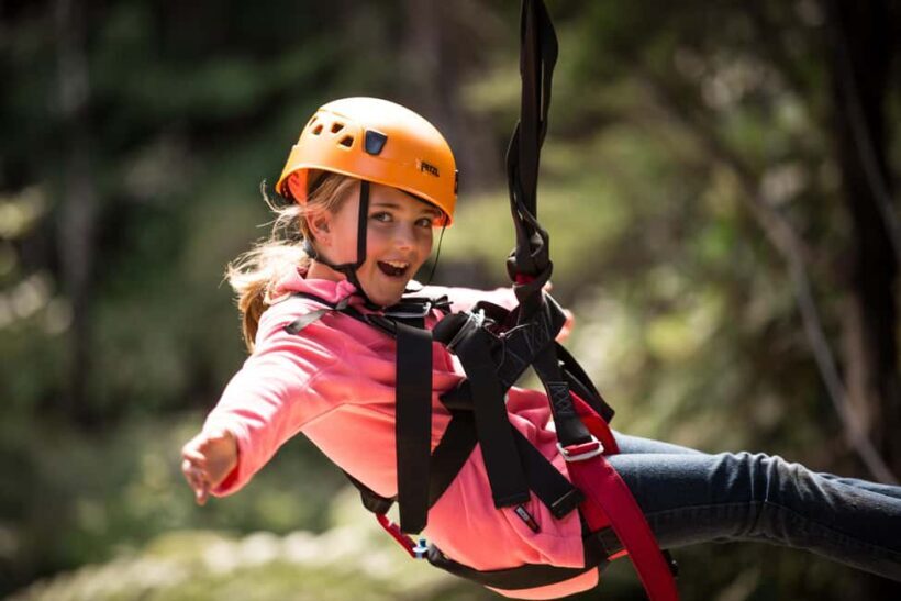 Coromandel: Guided Zipline Tour Experience - The Zipline Course