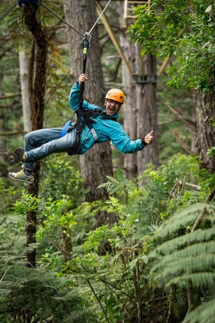 Coromandel: Guided Zipline Tour Experience - Practical Tips for Participants