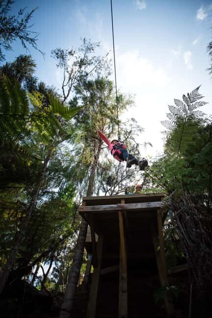 Coromandel: Guided Zipline Tour Experience - The Sum Up: Who Should Consider This Zipline Tour?