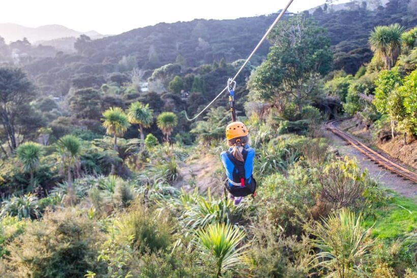 Coromandel: Guided Zipline Tour Experience - FAQ