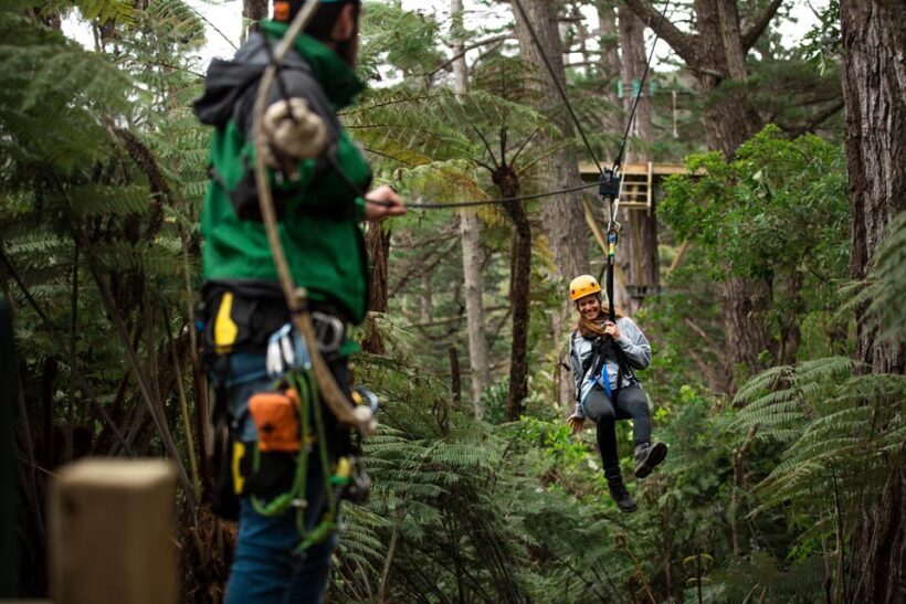 Coromandel: Guided Zipline Tour Experience - Who Should Consider This Tour?