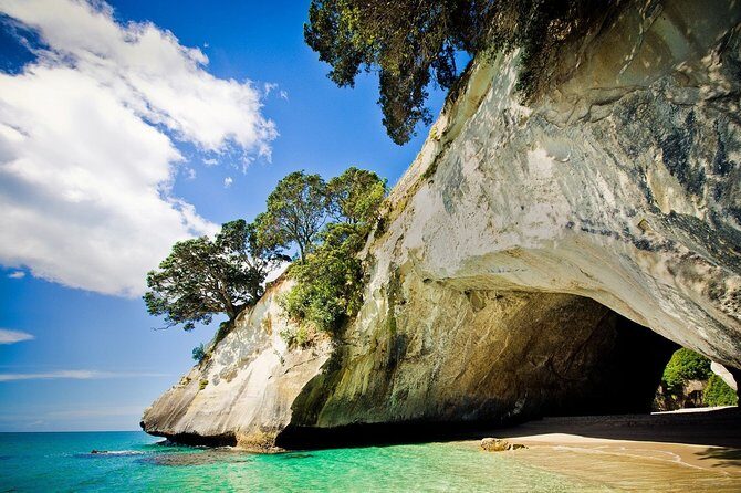 Coromandel Peninsula Discovery - Private Tour From Auckland - Practical Considerations and Tips