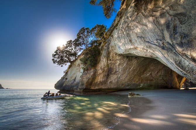 Coromandel Peninsula Discovery - Private Tour From Auckland - Authentic Feedback from Travelers