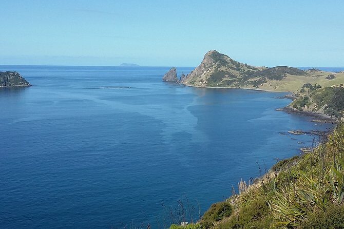 Coromandel Peninsula Discovery - Private Tour From Auckland - Final Thoughts