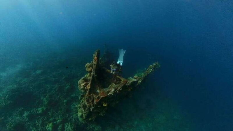 Coron: Barracuda Lake and Reef Garden Tour with Lunch - Key Points