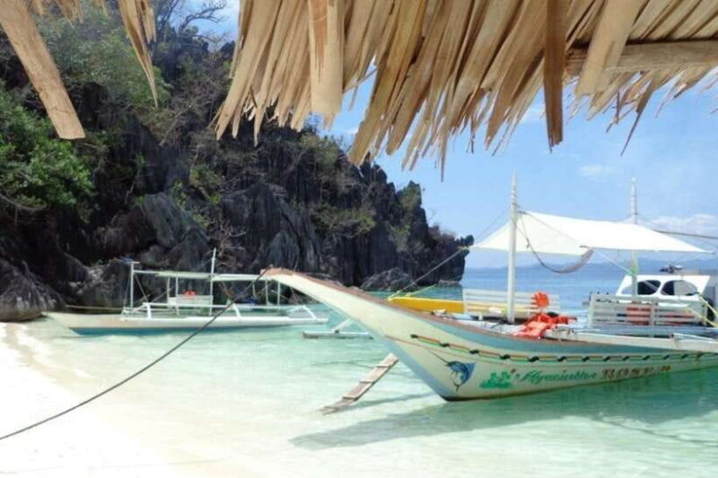 Coron: Barracuda Lake, Skeleton Wreck, Twin Lagoon Boat Tour - Authentic Insights from Reviews