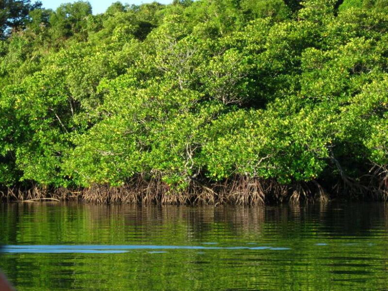 Coron: Calauit Safari Adventure - Key Points