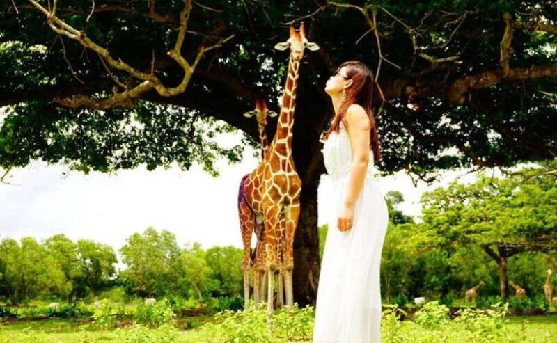 Coron: Calauit Safari Black Island Lunch & Transfer included - Transportation and Group Size